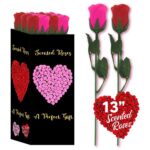 Schoolholidayshop.com - Fun Gift Items for a School Holiday Shop